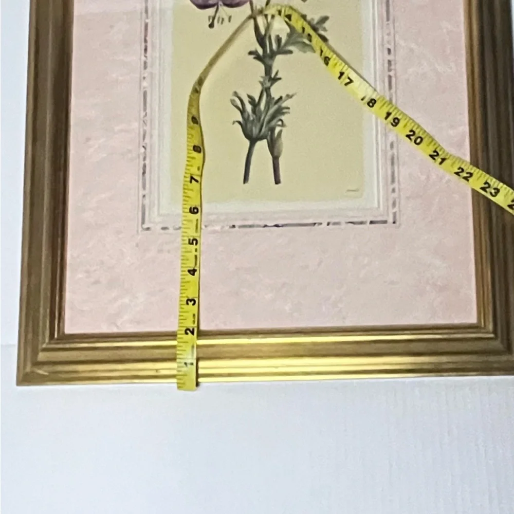 Vintage | Art | Vintage N Robert Artist Signed Botanical Art | Poshmark
